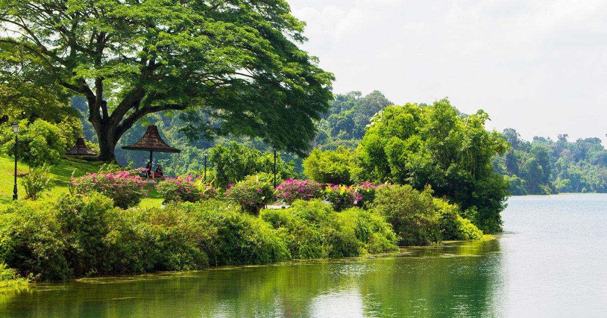 Audio guide MACRITCHIE RESERVOIR Tour Guide | MyWoWo